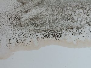 Mold Removal Service Howell, MI | Incore Restoration Group